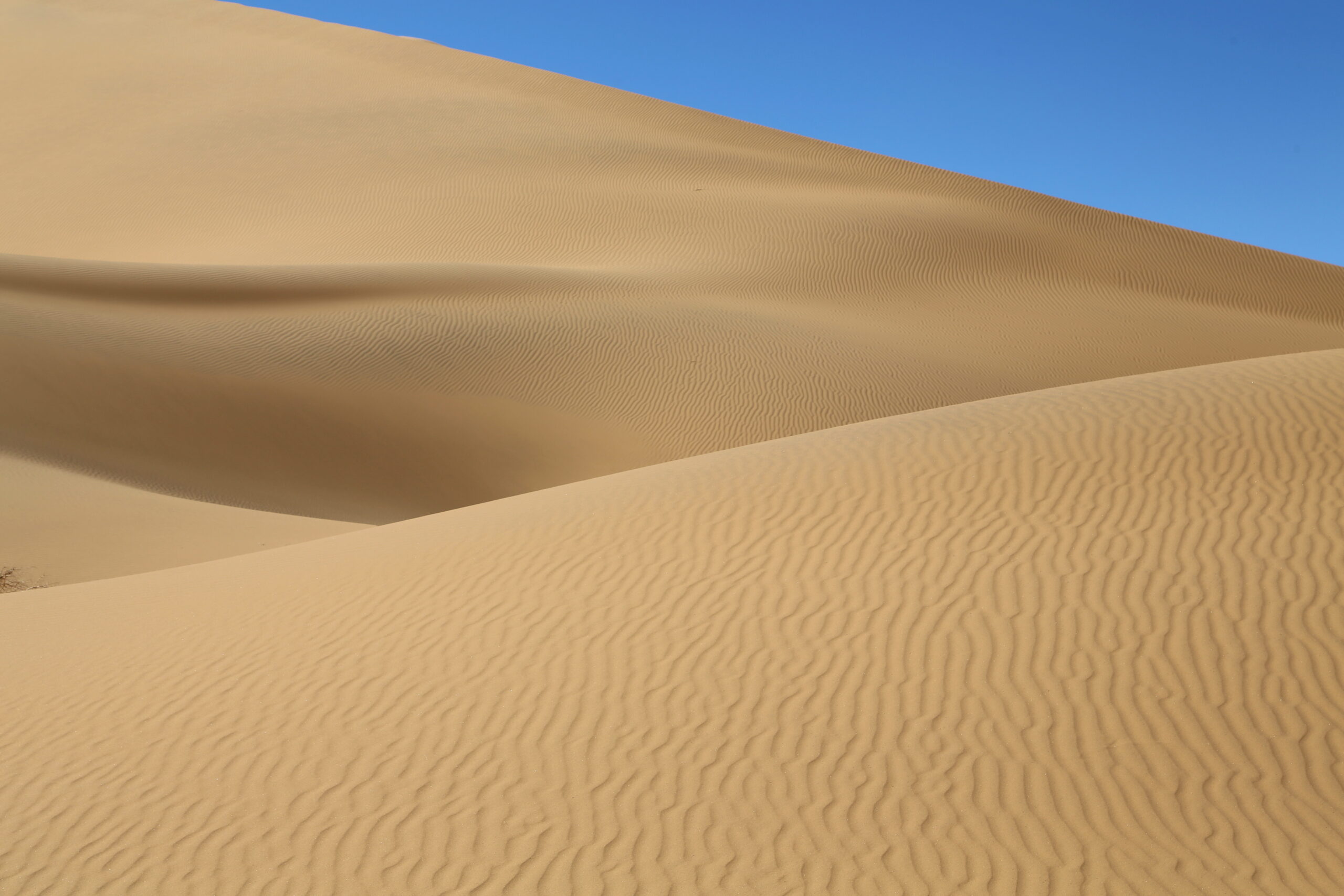 What to Know Before Visiting Saudi Arabia in 2024