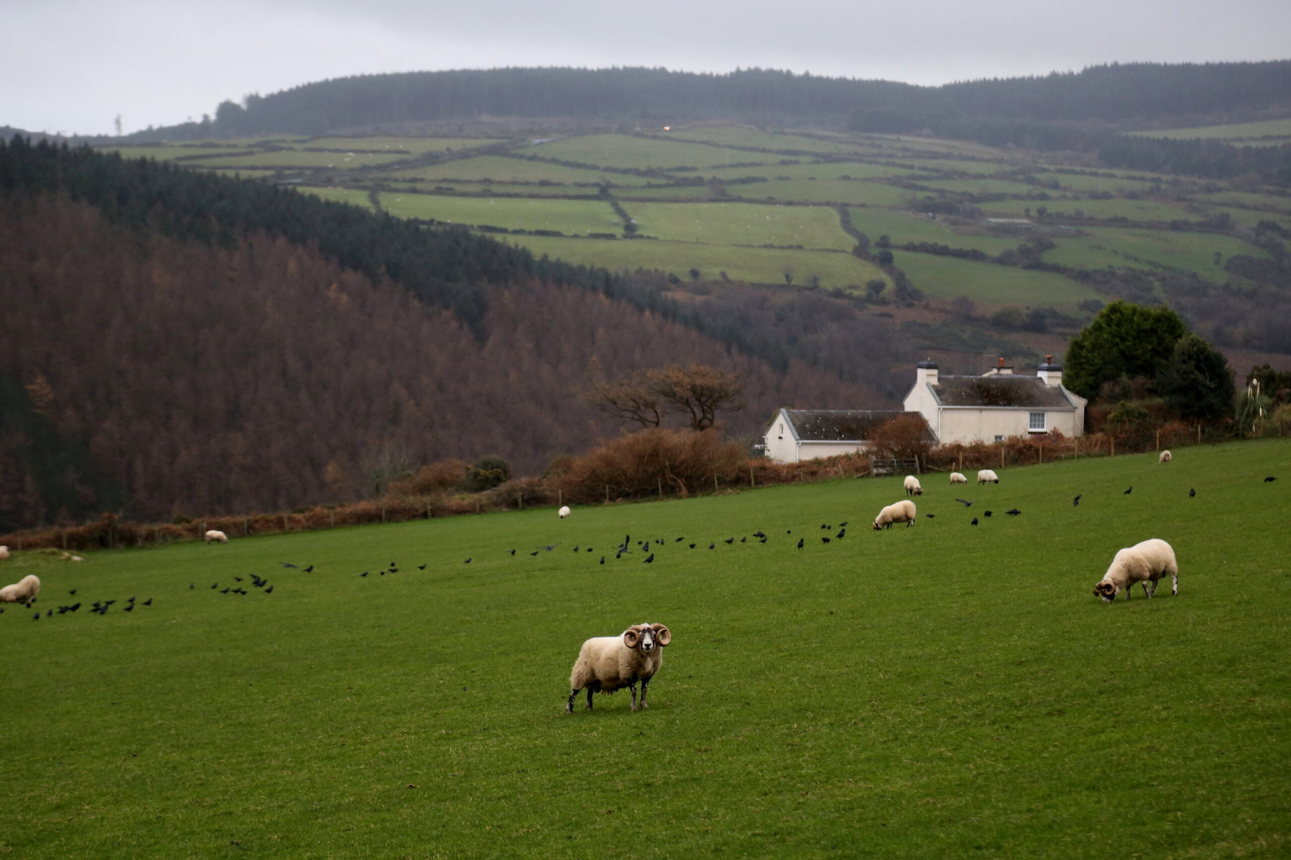 6 Reasons Why You Should Visit the Isle of Man in 2024