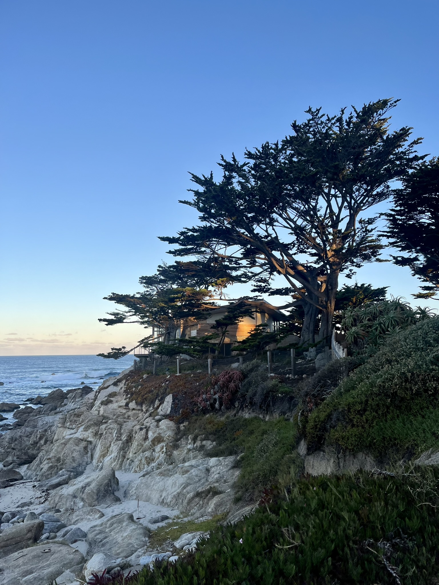 Top 5 Boutique Hotels In Carmel-by-the-Sea For Spring 2024