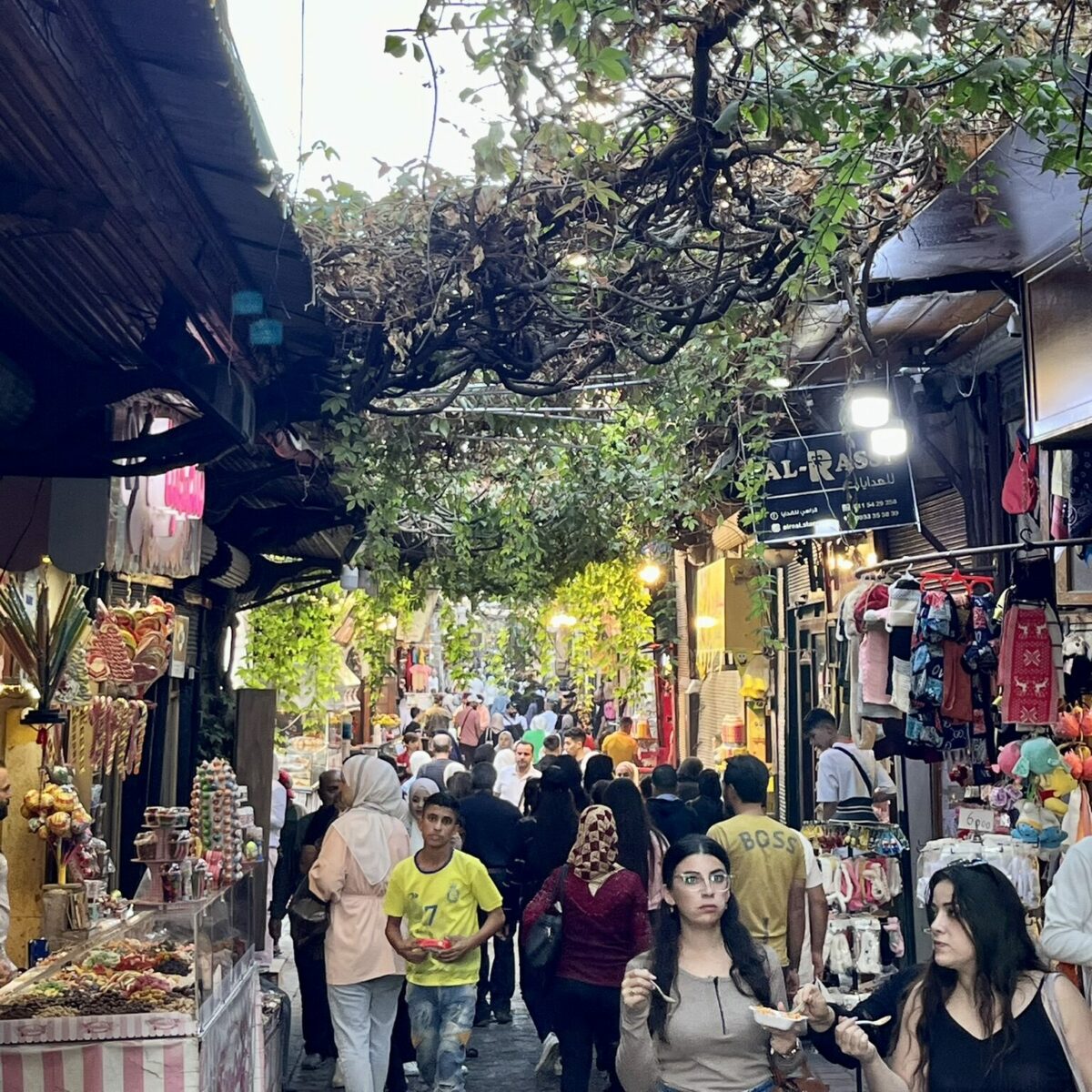 Syria Tours: 13 Things You Need To Know Before You Visit Syria