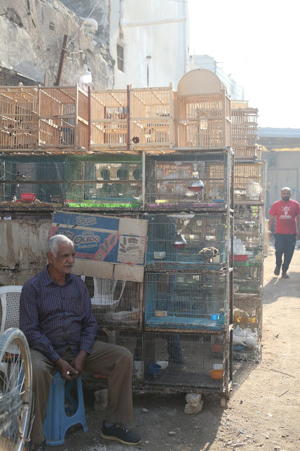 The Ultimate Guide for Your Tour to Basra, Iraq