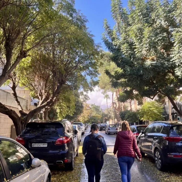 The Short Guide to One Day in Modern Damascus