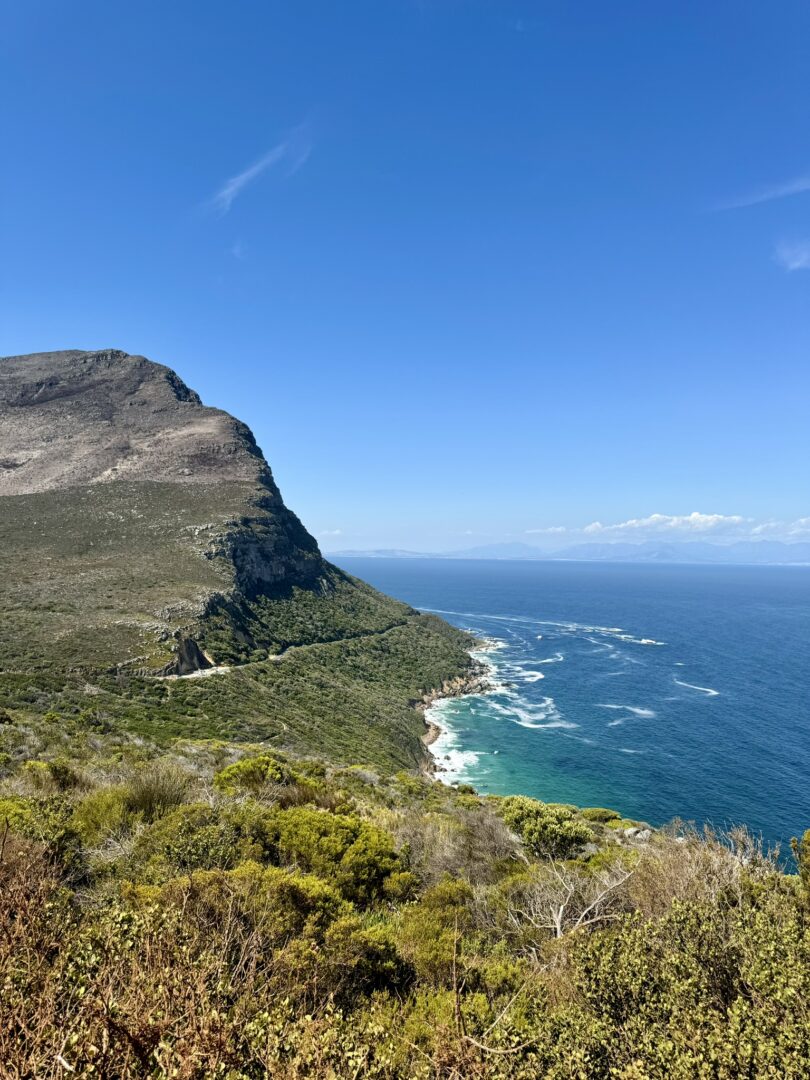 The Ultimate Cape Peninsula Road Trip from Cape Town