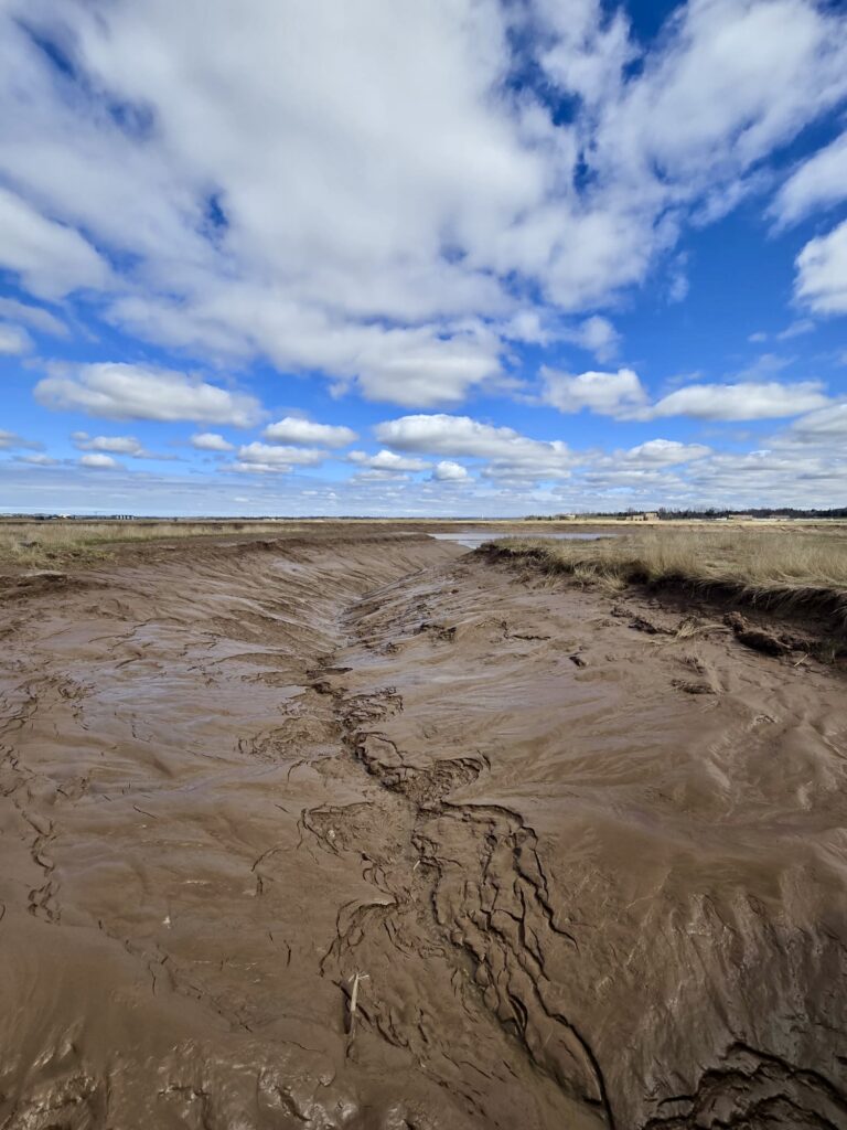 The Essential 9 Things to Do in Moncton - And Traditional Acadian Food ...