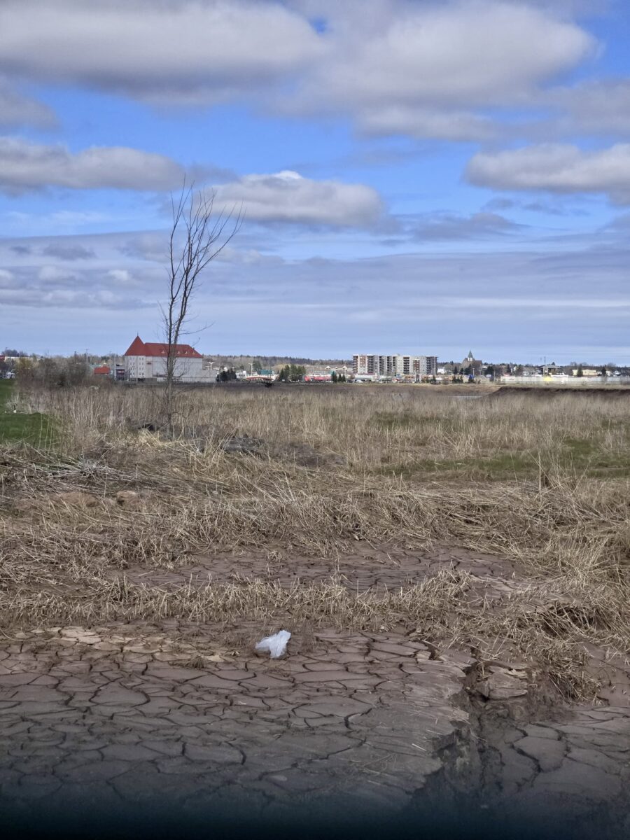 The Essential 9 Things to Do in Moncton - And Traditional Acadian Food ...