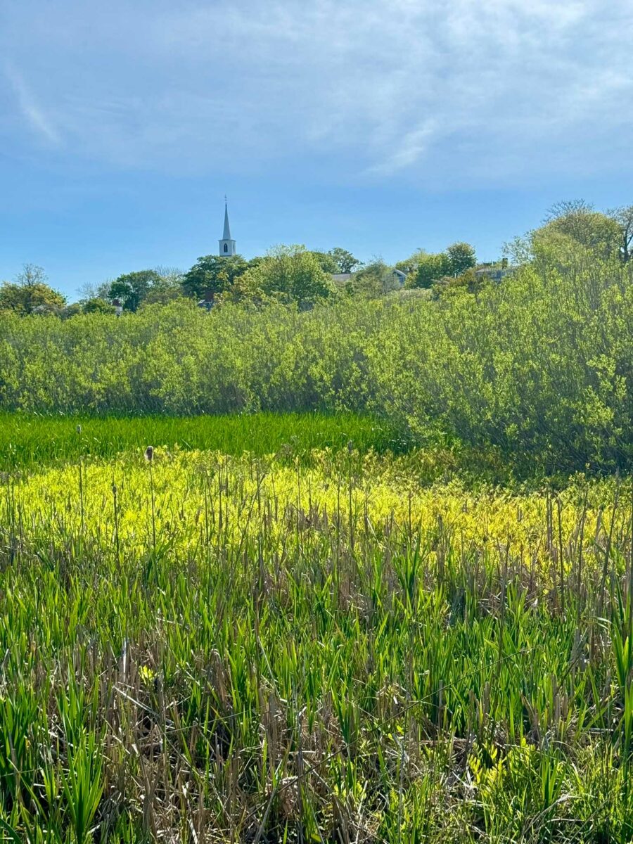 The 5 Best Beaches in Nantucket, including the Best Drive-on Beaches