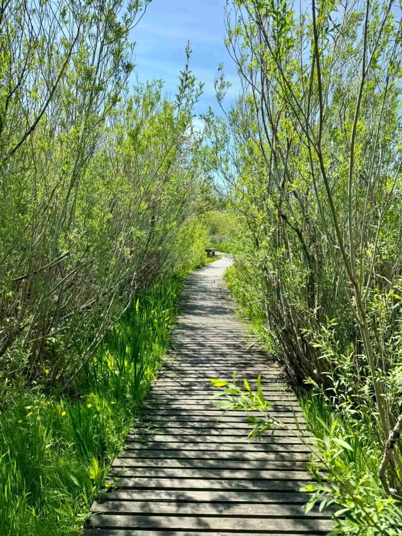 The Best Things to Do in Nantucket in 2024