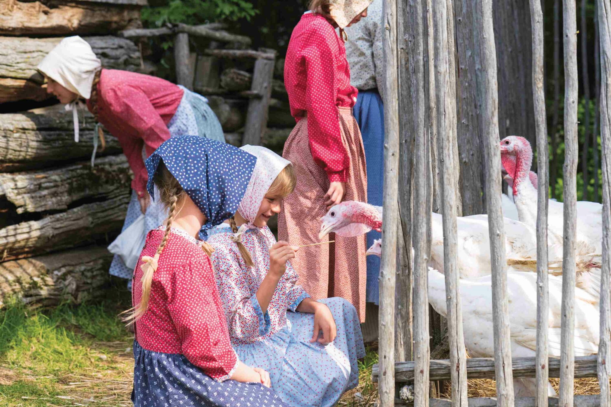 Things to Do in New Brunswick: 7 Summer Day Trips in New Brunswick