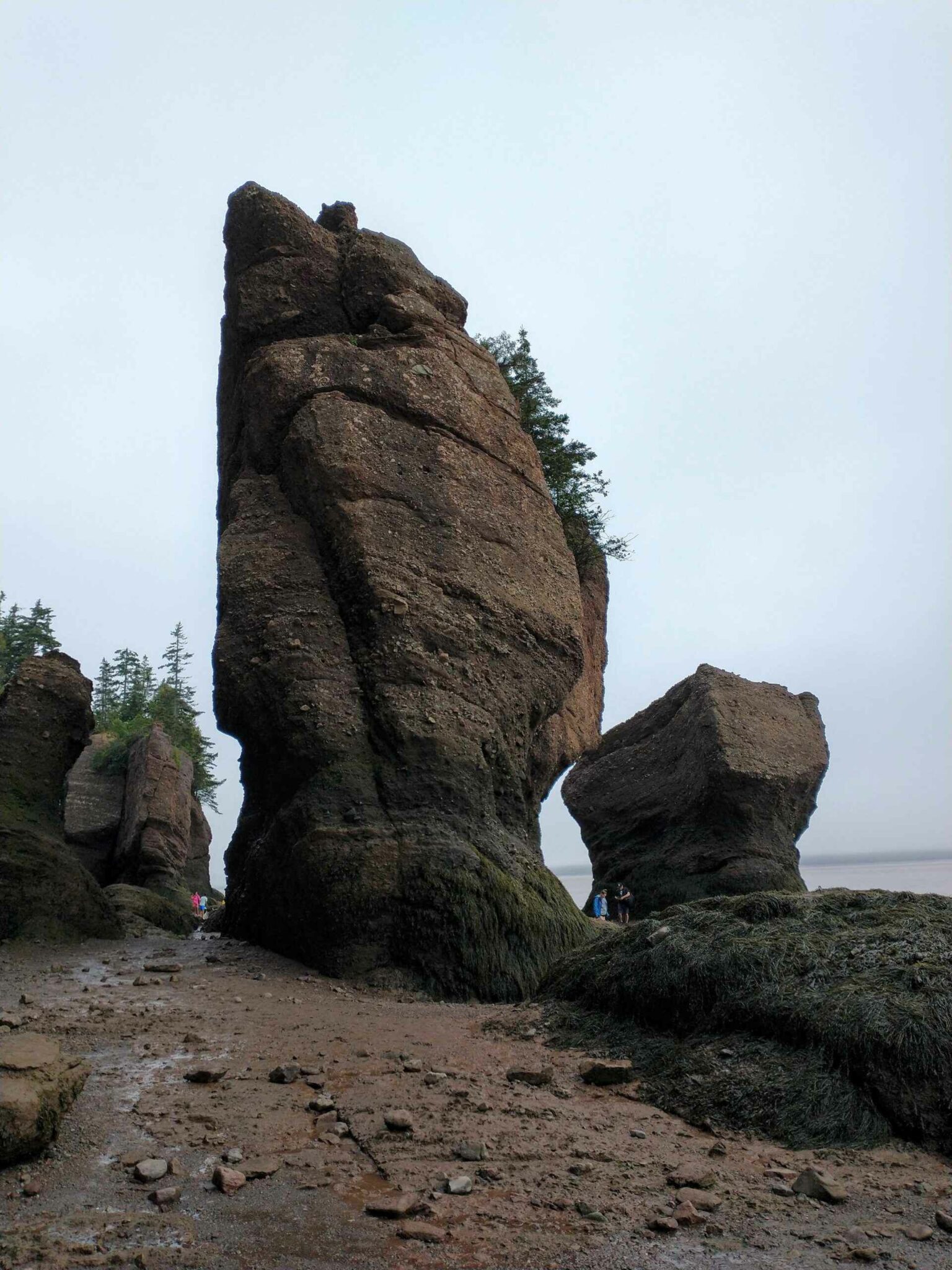 Things to Do in New Brunswick: 7 Summer Day Trips in New Brunswick