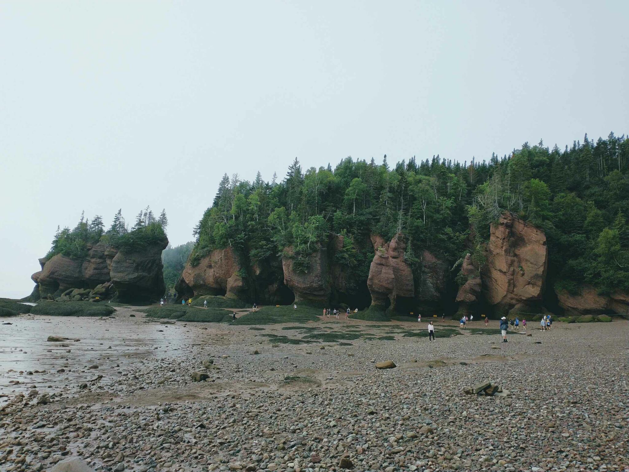 Things to Do in New Brunswick: 7 Summer Day Trips in New Brunswick