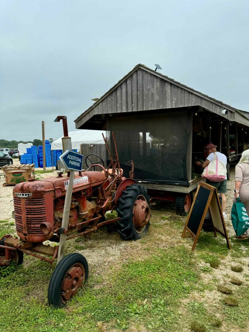 The 9 Essential Things to Do in The Hamptons in Summer