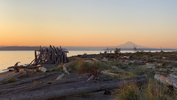 These are Seattle's Best Viewpoints