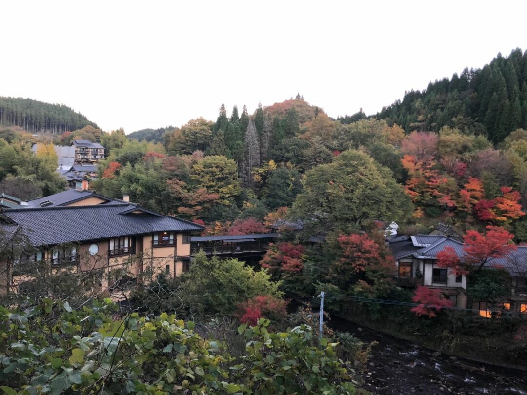 The Perfect Kyushu Itinerary for 10 Days in Southern Japan