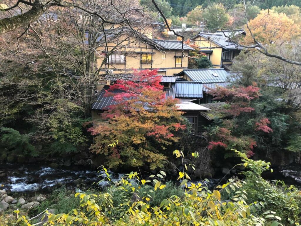 The Perfect Kyushu Itinerary for 10 Days in Southern Japan