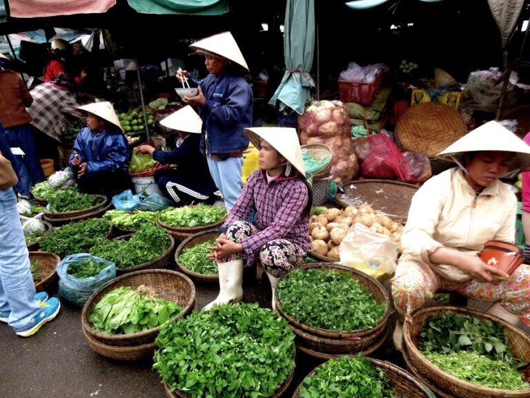 Hanoi vs Ho Chi Minh City: Everything You Need to Know