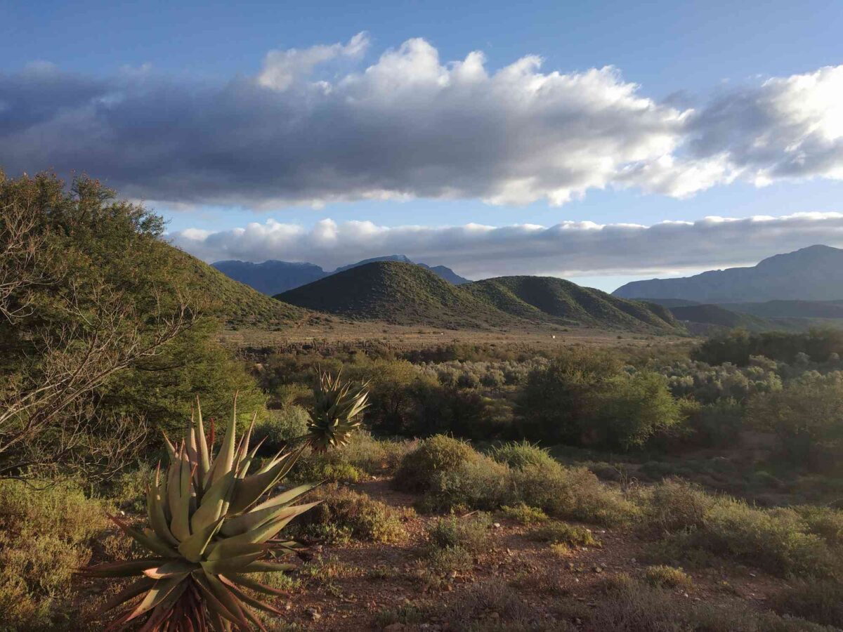Ready to Visit Klein Karoo? This is the Only One-Week Itinerary You Need