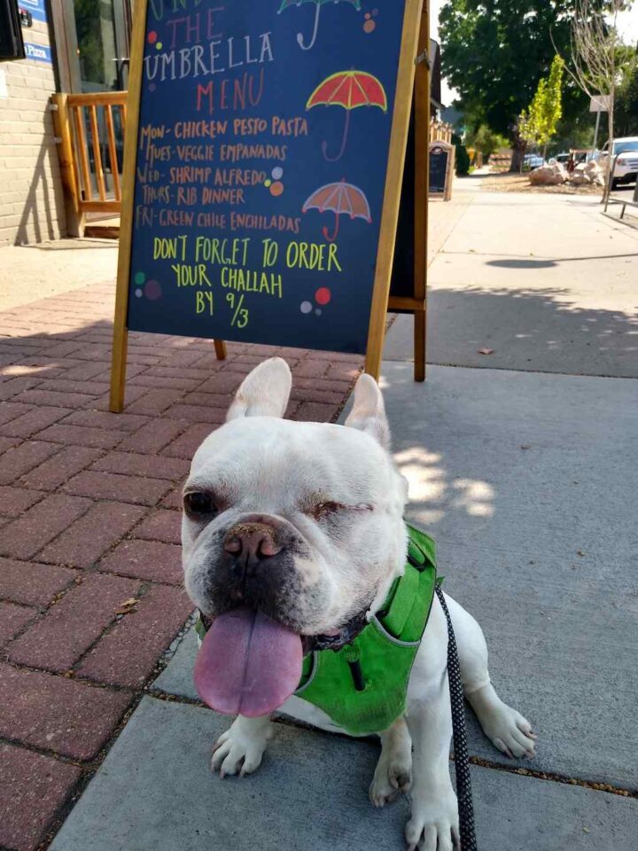 A Local’s Guide to the 9 Best Cafes in Denver