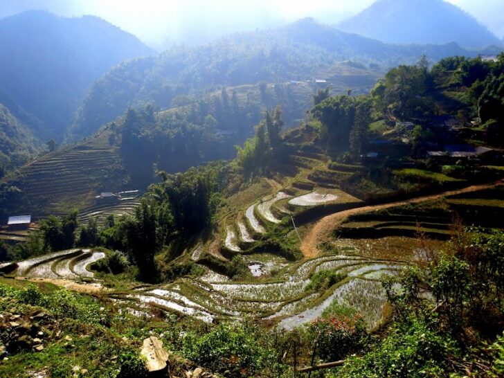 11 Must-Try Sapa Foods and 1 to Avoid on Your Next Vietnam Trip