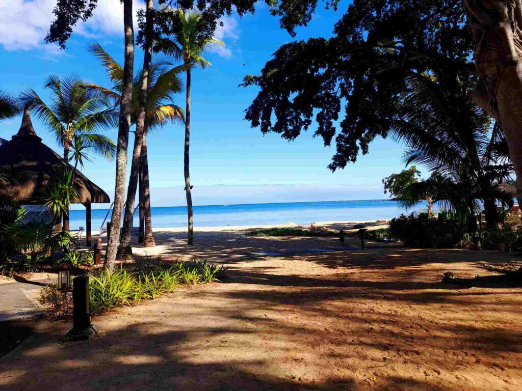 5 Best Bars in Mauritius for a Fun Night Out: A Local's Guide