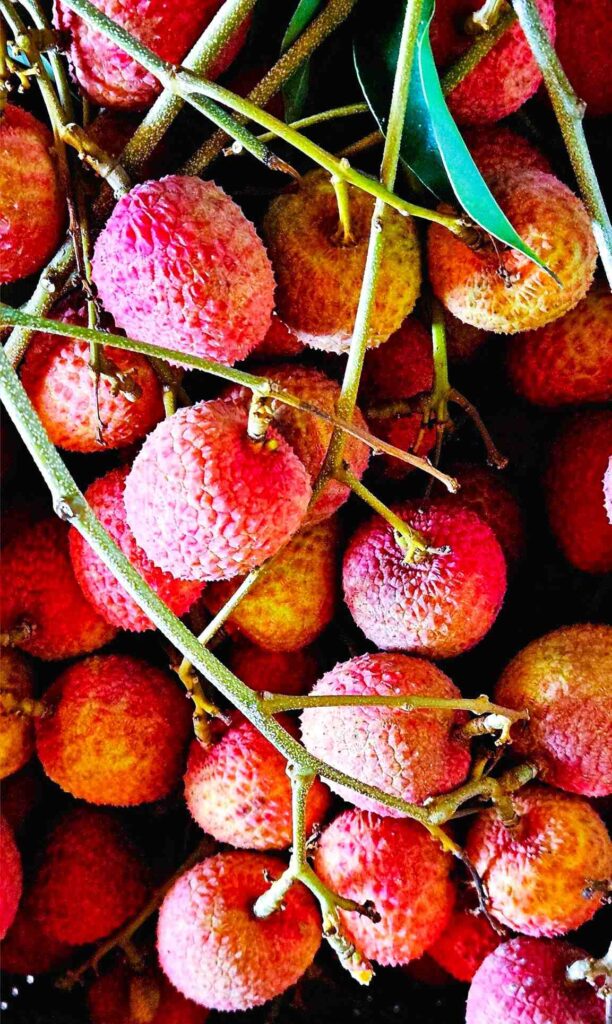 7 Mauritian Desserts You Just Can't Miss