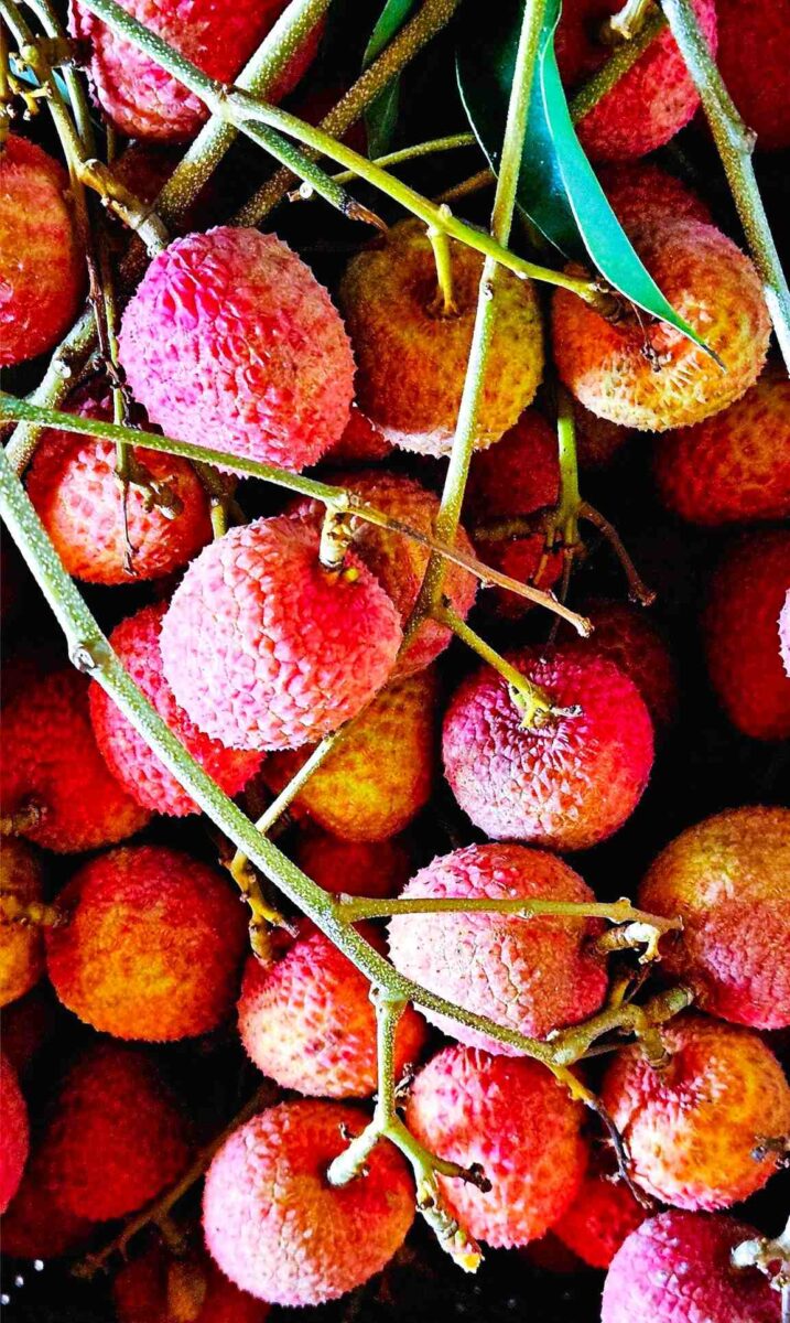 7 Mauritian Desserts You Just Can't Miss
