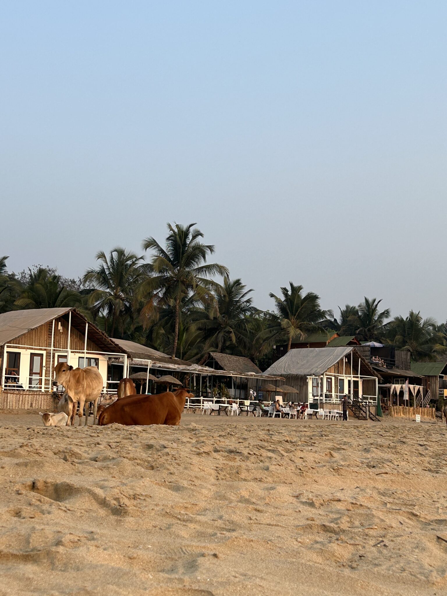 3 Day Goa Itinerary: Ultimate Guide for 2025