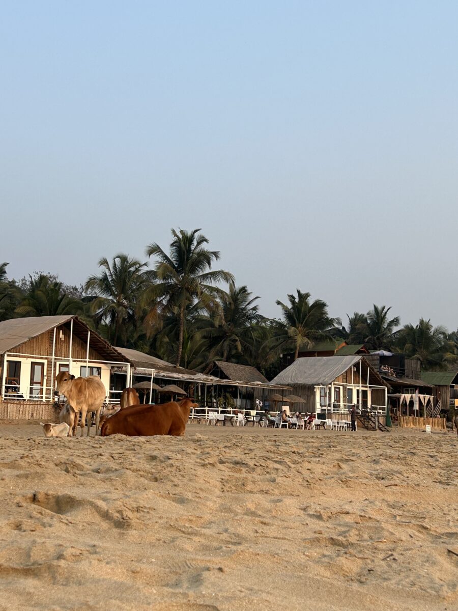 3 Day Goa Itinerary: Ultimate Guide for 2025