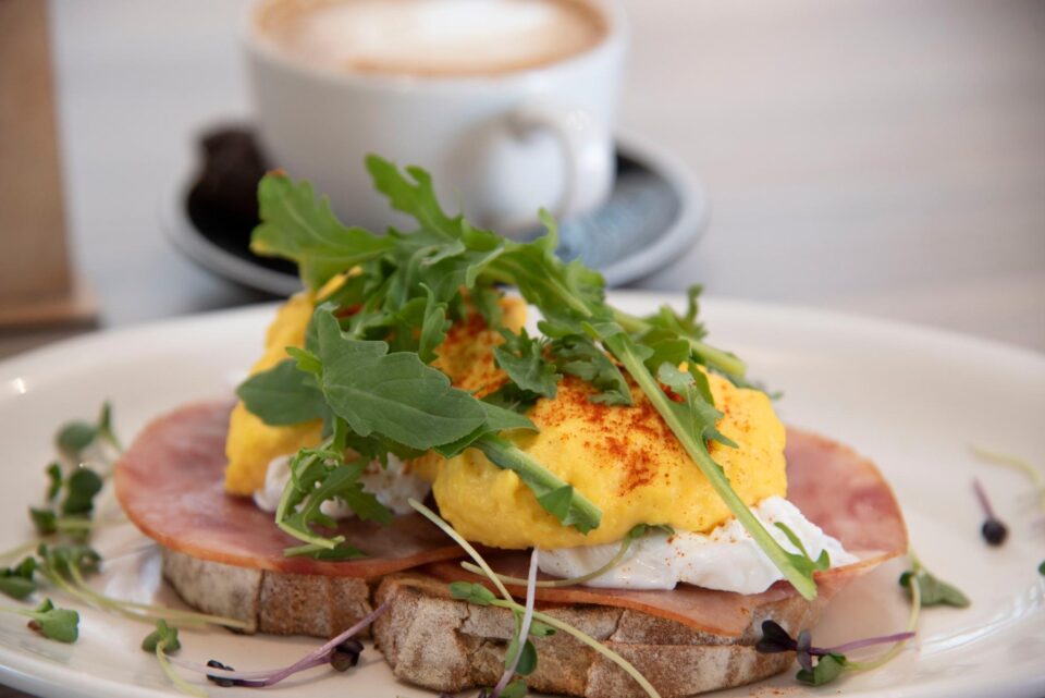 8 Best Restaurants in Knysna, South Africa: A Local's Guide