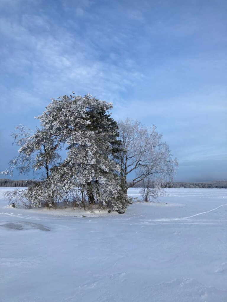 Ultimate One Week in Finland Itinerary: Helsinki, Lapland and More