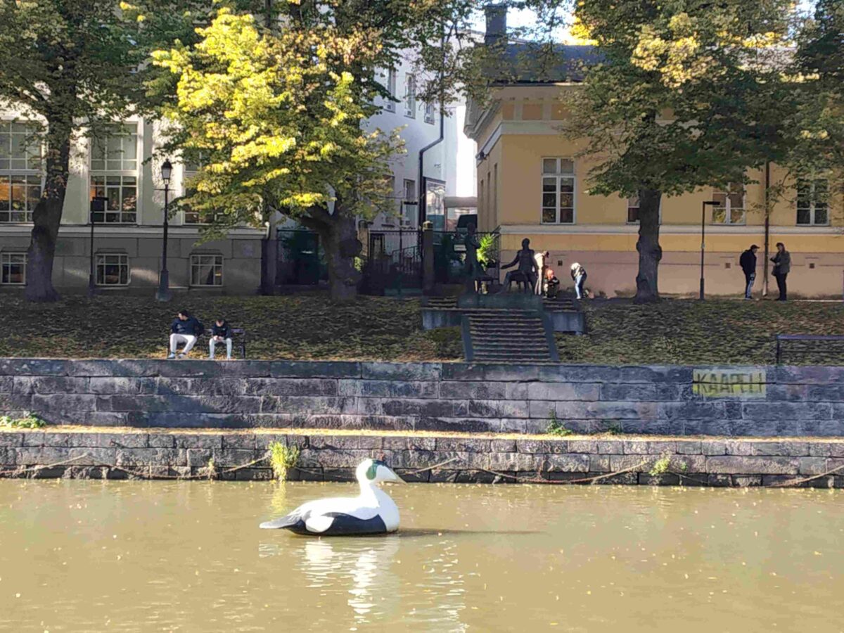 Best Restaurants in Turku, Finland: A Local's Guide for 2025