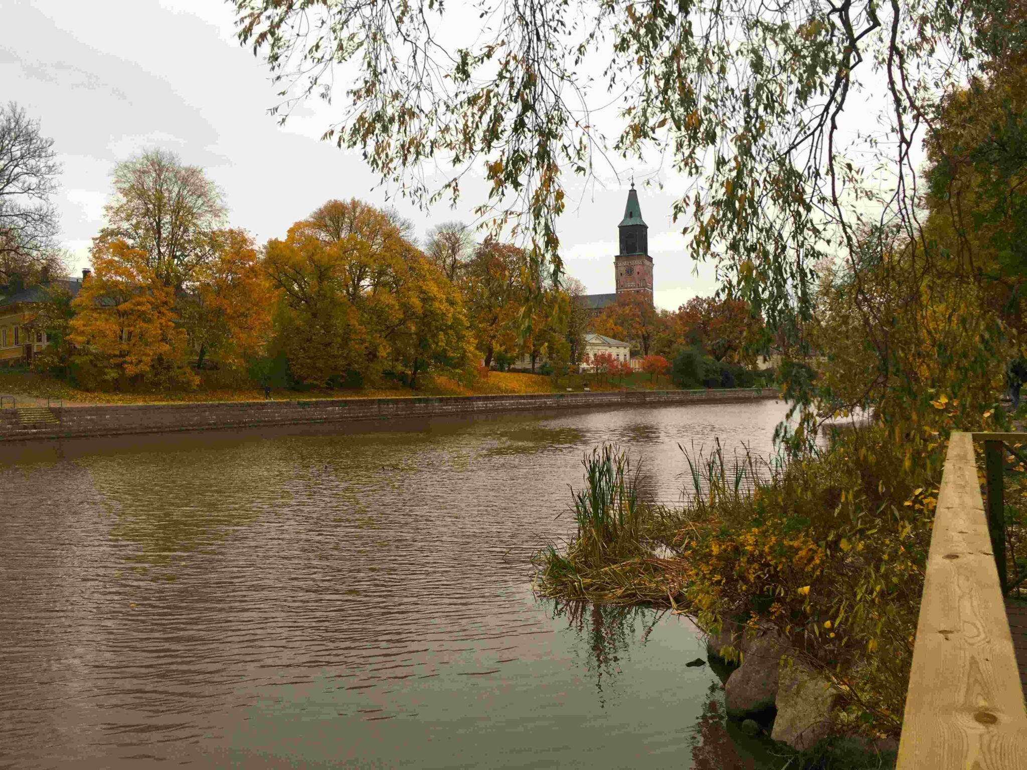 Best Restaurants in Turku, Finland: A Local's Guide for 2025