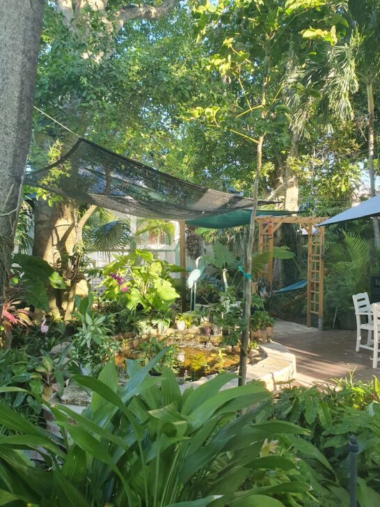 Key West vs Key Largo: The Hottest of the Florida Keys for 2025