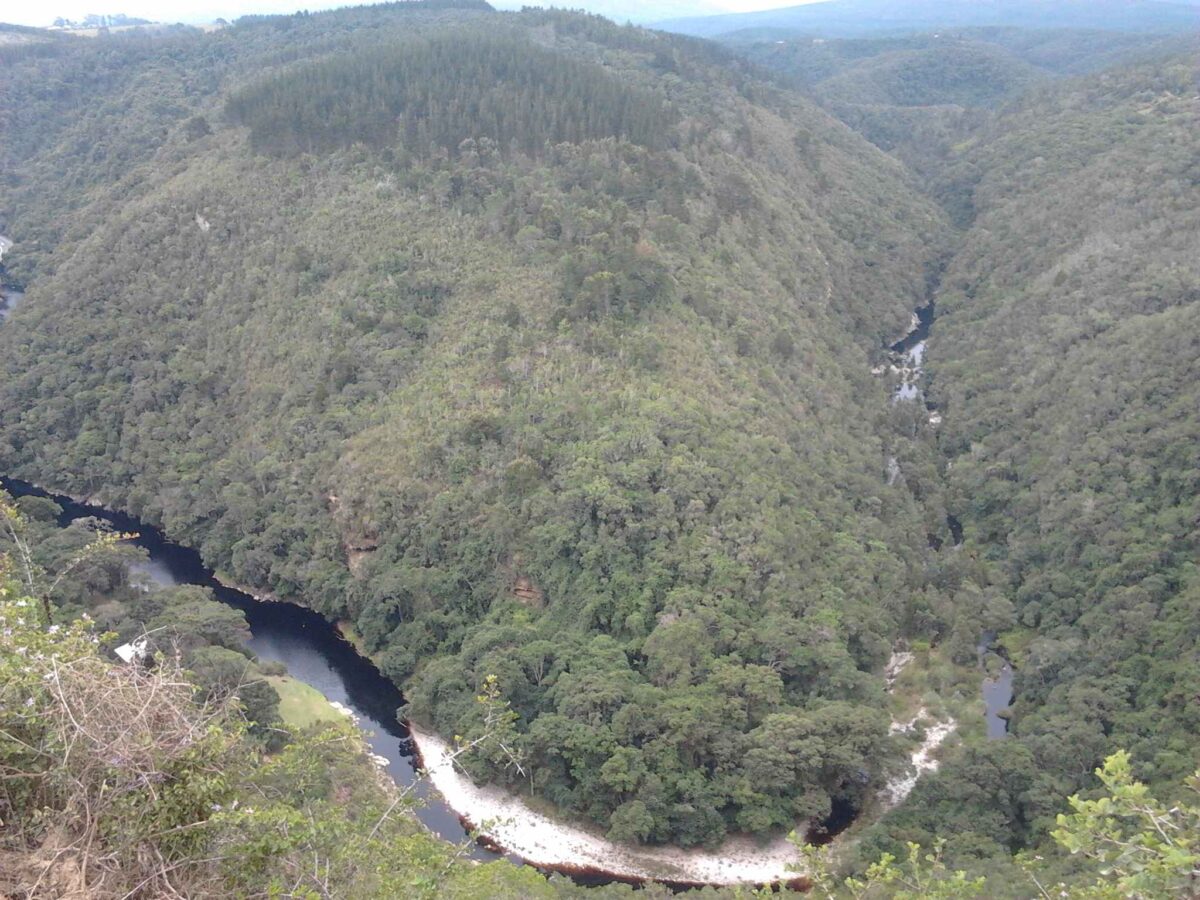 The Ultimate 10-day Garden Route Itinerary